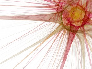 Understanding Energetic Anatomy: A Review of The Subtle Body by Cyndi ...